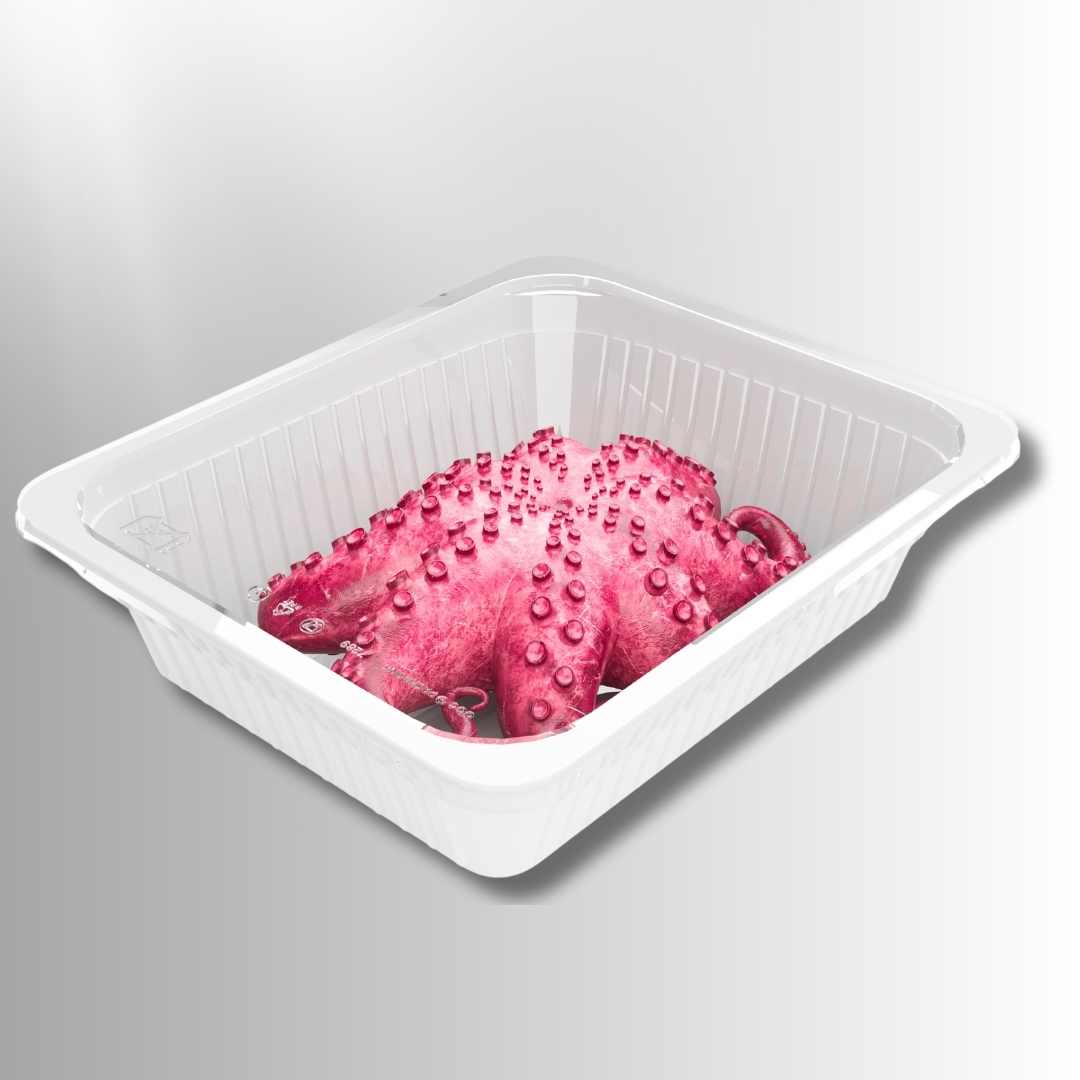 BBC Packaging - Envases Termoformados
